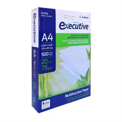 Papel Fotocopia Executive 75g | Santiago Aloy S.A.